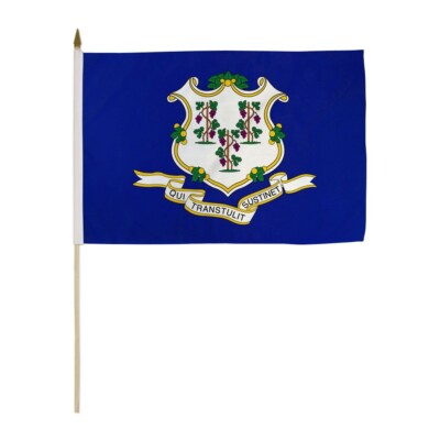 12x18 Inches 12 x 18 Connecticut State Stick Flag wood Staff | eBay
