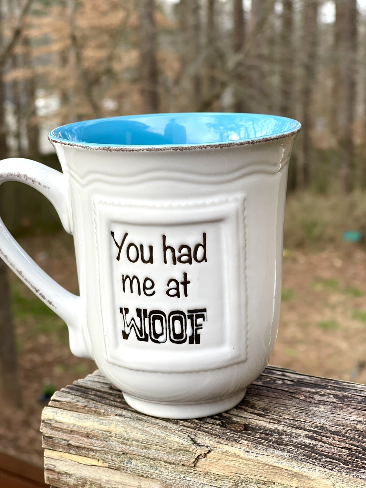 “You Had Me At Woof” Ceramic Stoneware Dog Mug By Spectrum Designz 17oz ...