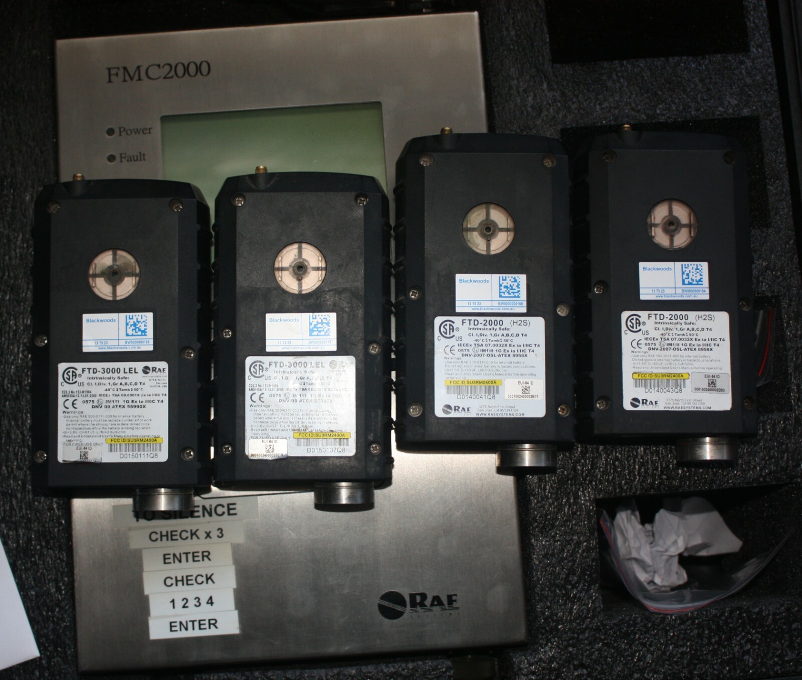 RAE Systems MeshGuard RDK fixed gas detection with FMC 2000 Wireless ...