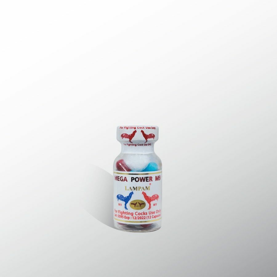 12 Caps DOPING LAMPAM MEGA POWER M9 CHICKEN ROOSTER VITAMIN | eBay