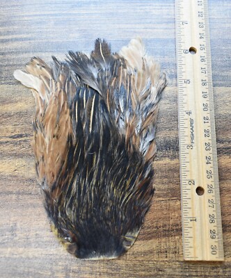 Lot 96, Natural India Hen Neck Cape Feathers for Fly Tying | eBay