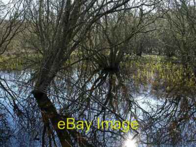 Photo 6x4 Wet woodland by Par Pond Kilhallon Another view of [[1716042 ...