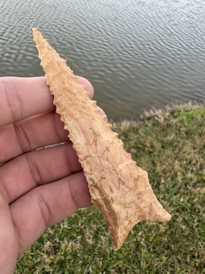 Rare Large Native American Serrated Paleo Archaic Dalton Arrowhead ...
