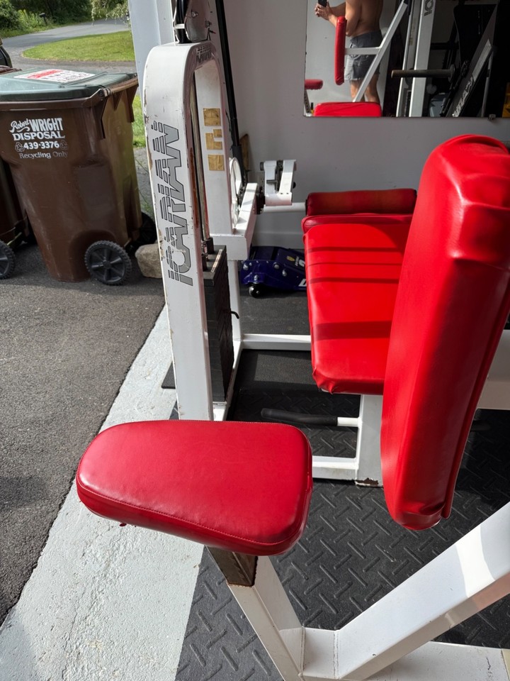 Classic Icarian gym equipment Pec/rear fly and matching prone hamstring ...