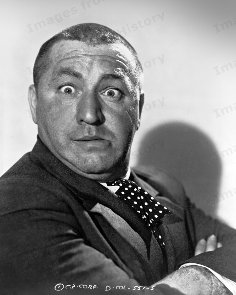 8x10 Print The Three Stooges Curly Howard #5502141 | eBay
