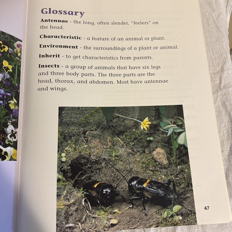 FOSS Science Stories Big Book Insects Grade 1-2 - Paperback | eBay
