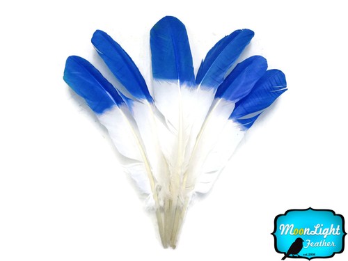 6 Pieces - BLUE Half Dipped Turkey Round Wing Quill Feathers | eBay