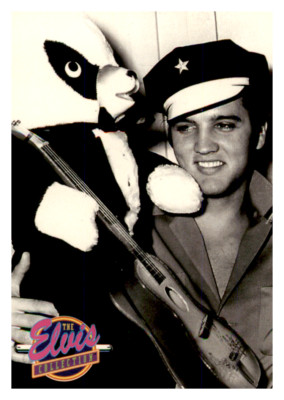 1992 1993 THE ELVIS Collection Card Elvis Presley #630 Koala Teddy Bear ...