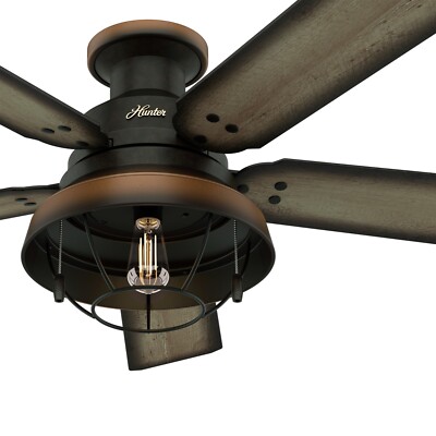 Hunter Fan 52 in Traditional Brittany Bronze Outdoor Ceiling Fan with ...