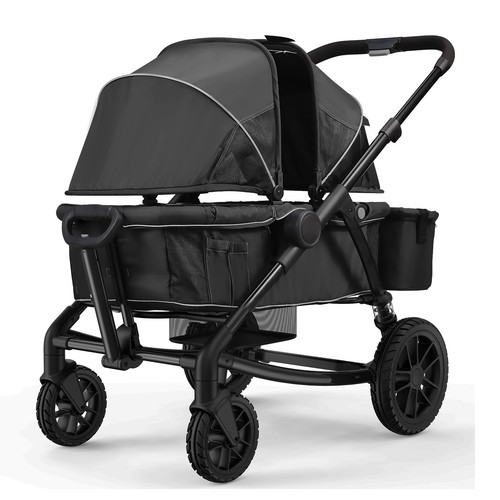 All-Terrain Double Stroller Wagon 2 Seats Collapsible with Canopy Dark ...
