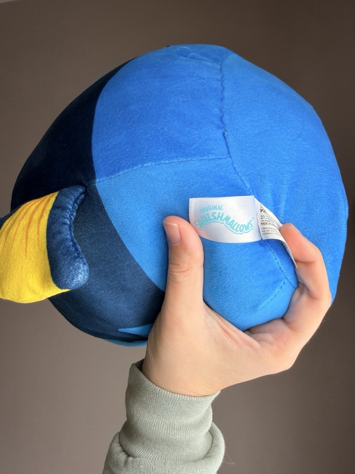 Disney Finding Nemo Dory Medium Plush Squishmallows Blue Yellow 14-24 ...