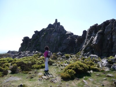 Photo 6x4 Manstone Rock, summit of the Stiperstones ridge Bog, The ...