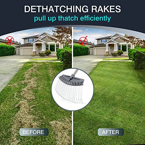 Thatch Rake 24 Steel Tines Dethatching Rake With 54 Lightweight ...