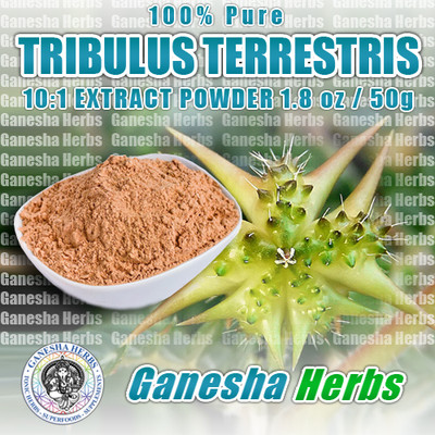 Tribulus Terrestris HIGH POTENCY CONCENTRATED Extract Powder 90% ...