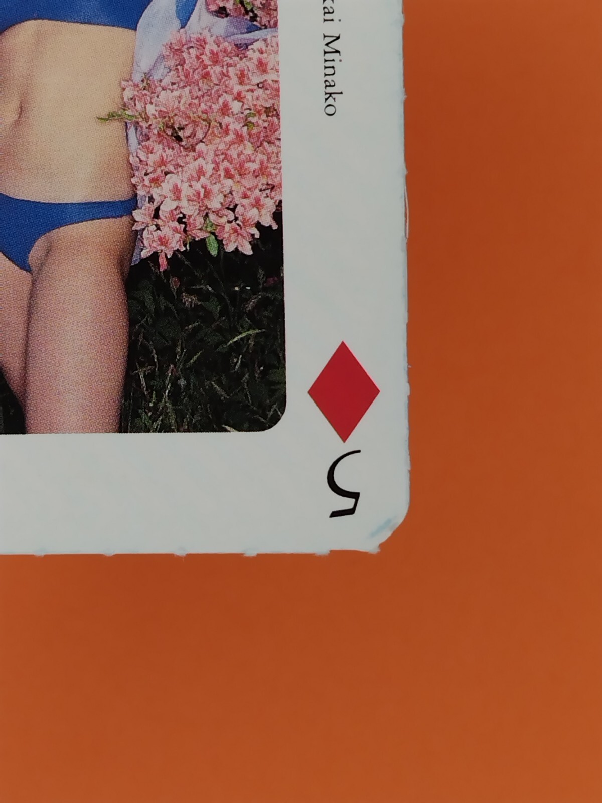 Komukai Minako Weekly Playboy WPB 37th Aniv. ORIGINAL PLAYING CARD Diamond 5 | eBay