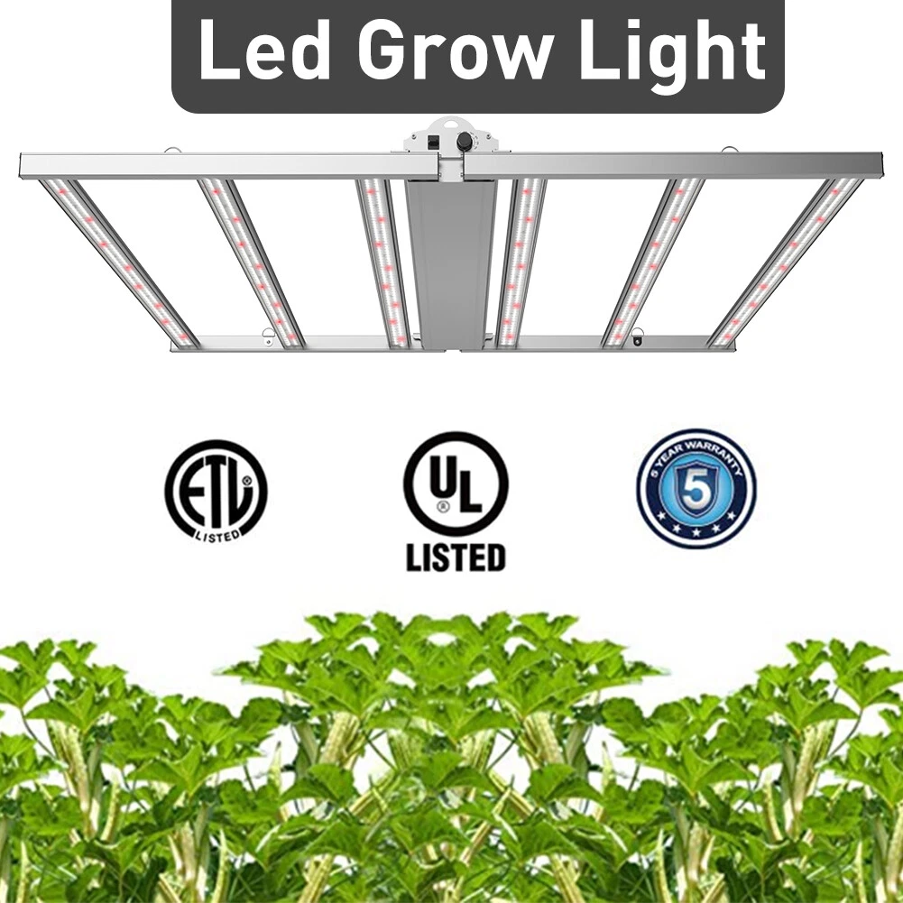 Gavita Grow Light Yield | Shelly Lighting