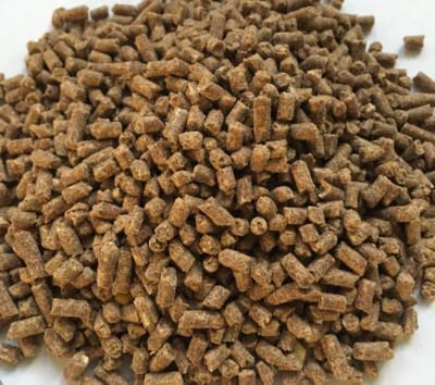 Chicken Feed Mini Pellets For Laying Hens Rooster | eBay