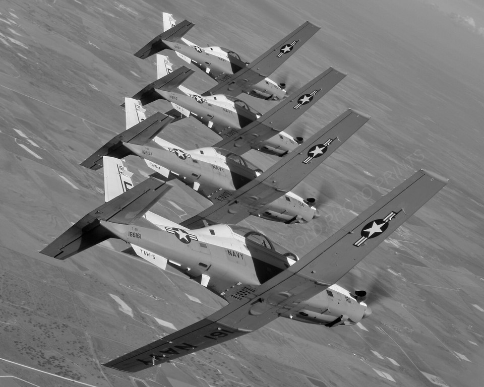 T 6 Texans Trainer Aircraft 2021 Photograph Us Navy Southern Texas 8x10