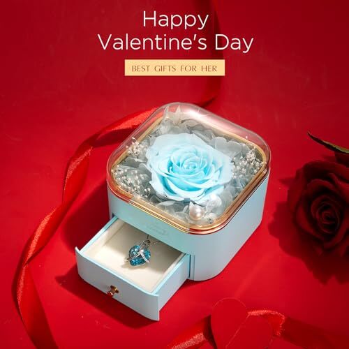 Preserved Flowers Real Light Blue Rose Gifts for Mom B5_light Blue ...