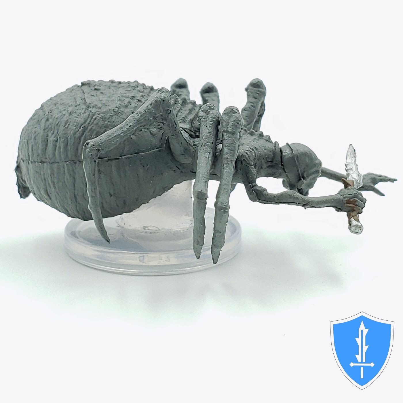 Choldrith (Chitine) - Volo & Mordenkainen's Foes #20 D&D Miniature | eBay