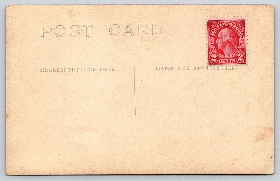 RPPC VINTAGE OLD ANTIQUE REAL PHOTO POSTCARD PICTURE WOMAN LADY ...