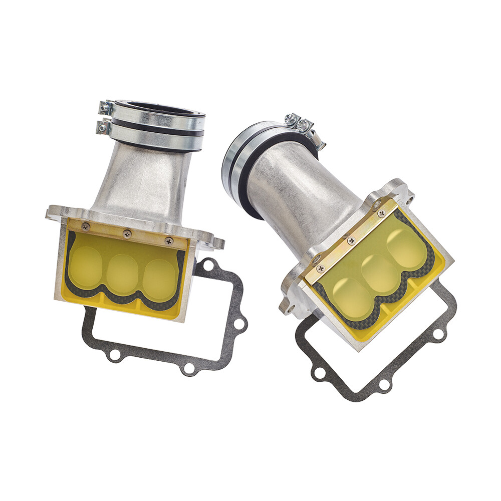 Boyesen Rage Cage Carbon Reed Assembly Ski-Doo Renegade 600 2011-2014 ...