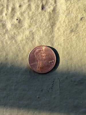 2017 Penny | eBay
