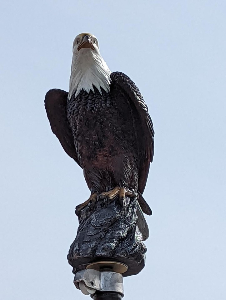 Eagle Flagpole Topper XXL 17in HUGE Topper | eBay
