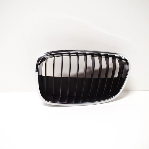 NEW BMW 1 F20 FRONT RADIATOR LEFT KIDNEY GRILLE 51137324389 7324389 ...