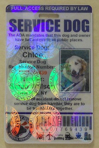 HOLOGRAPHIC SERVICE DOG ID CARD FOR SERVICE ANIMAL ADA RATED 0BH | eBay