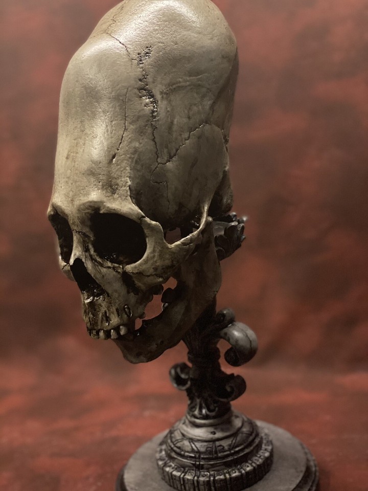 Peruvian Elongated Human skull RESIN REPLICA , - Zane Wylie Skulls ...