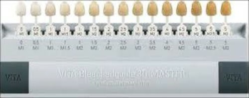 Vita Bleachedguide 3D-Master " Made in Germany " Dental Tooth Shade ...