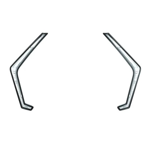 2025 Genuine Polaris RZR PRO S/4 R XP Accent Light Kit 2890517 | eBay