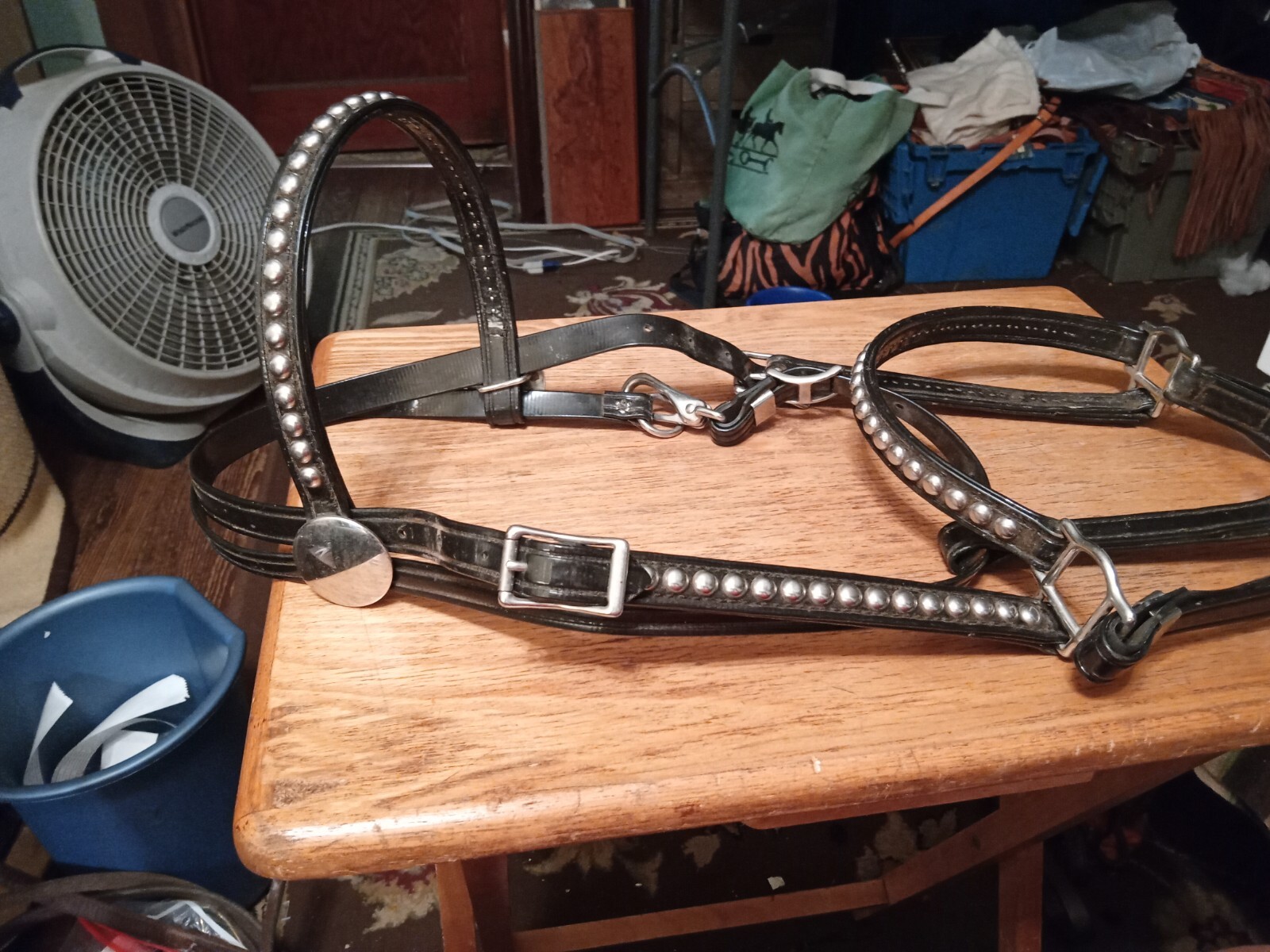 Used biothane Show Halter black spotted | eBay