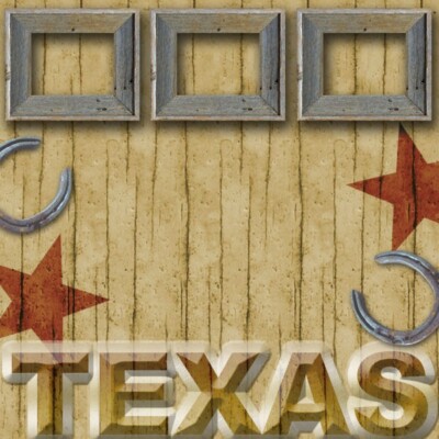 Texas -wood, scrapbook paper, Scrapbook Customs 14220 | eBay