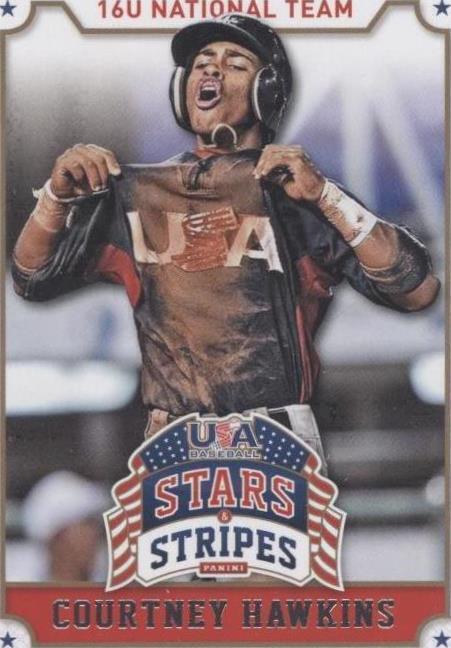 2015 Panini Stars and Stripes - Courtney Hawkins #26 (RC) for sale ...