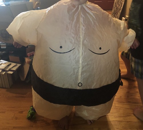 Sumo Fat Suits