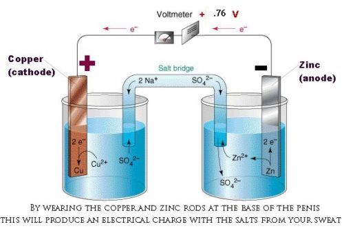 Best Penis ROP ED ZINGER Male God Ring of Power Blakoe Enlarger Libido ...