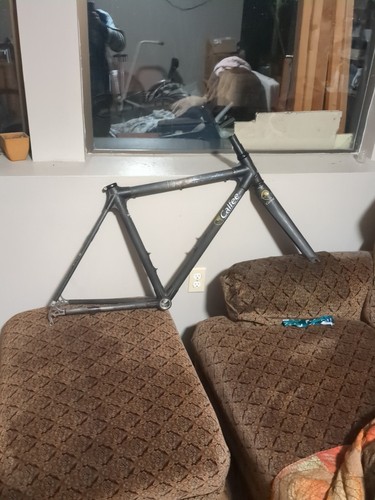 Calfee Dragonfly Pro 650c Frameset (Extra Small) Rim Brake QR BSA King ...