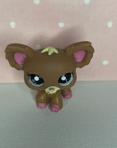 Littlest Pet Shop LPS 1623 Chihuahua AUTHENTIC See Photos | eBay