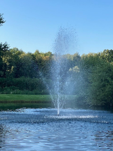 Water Fountains Large Pond Large Scale Water Feature