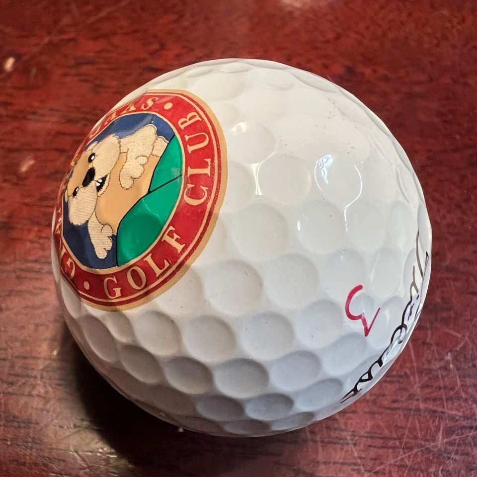 Grande Oaks Golf Club Caddyshack Gopher Logo Used Pro V1X Golf Ball (M ...