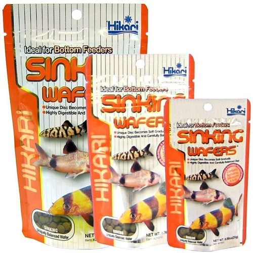 Hikari Sinking Wafers Rapidly Sinking Wafer Fish Food for Bottom ...