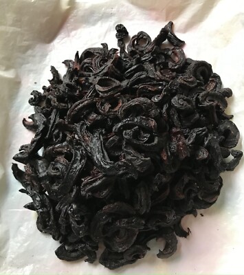 Ceylon Goraka Garcinia Cambogia Organic Natural Dried Healthy Spices ...