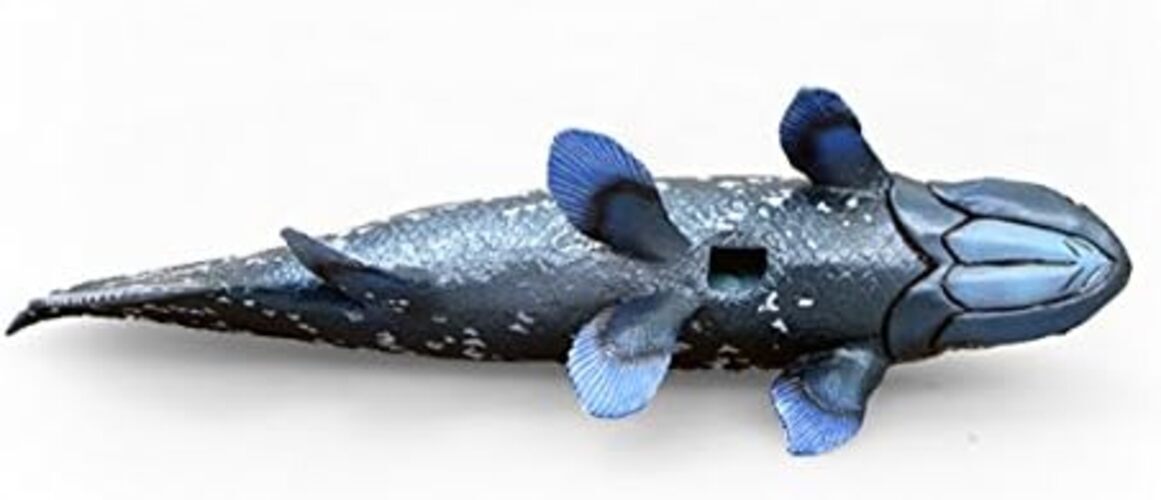 New Favorite Figure 77711 Ancient Fish Coelacanth Soft Model from Japan ...