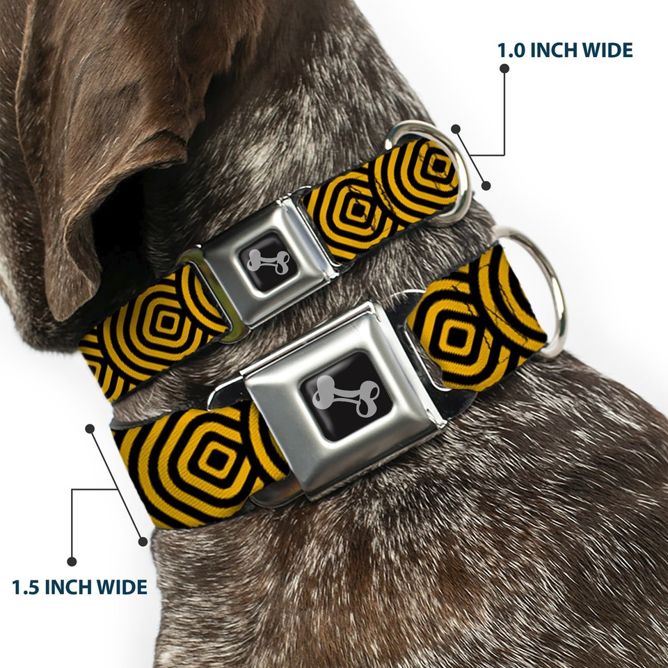 Dog Collar Bone Square Target Gold/Black WIDE-Small 13-17" (US IMPORT ...