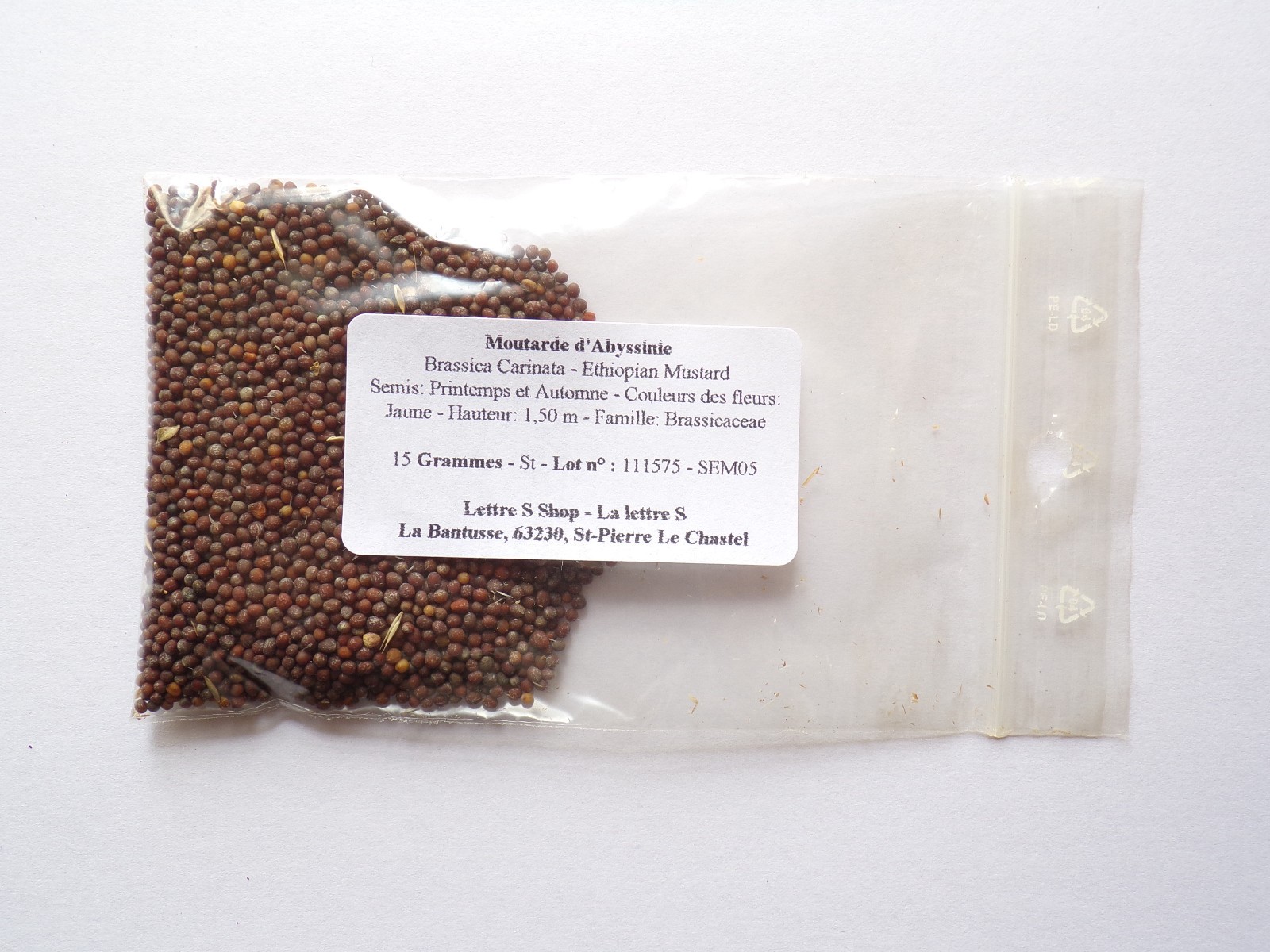 Moutarde d'Abyssinie - Brassica Carinata - Ethiopian Mustard - SEM05 | eBay