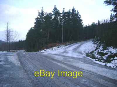 Photo 6x4 Forest Tracks in Contin Forest Contin/Cunndainn Storm force ...