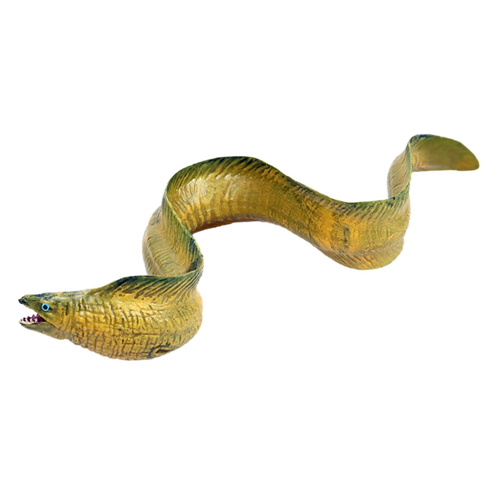 Eel Model Toy, Educational Learning Toy Ocean Animals Model for ...