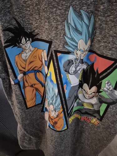 Dragon Ball Z Boys Graphic T-Shirt Goku Vegeta Char Heather Small Crew ...